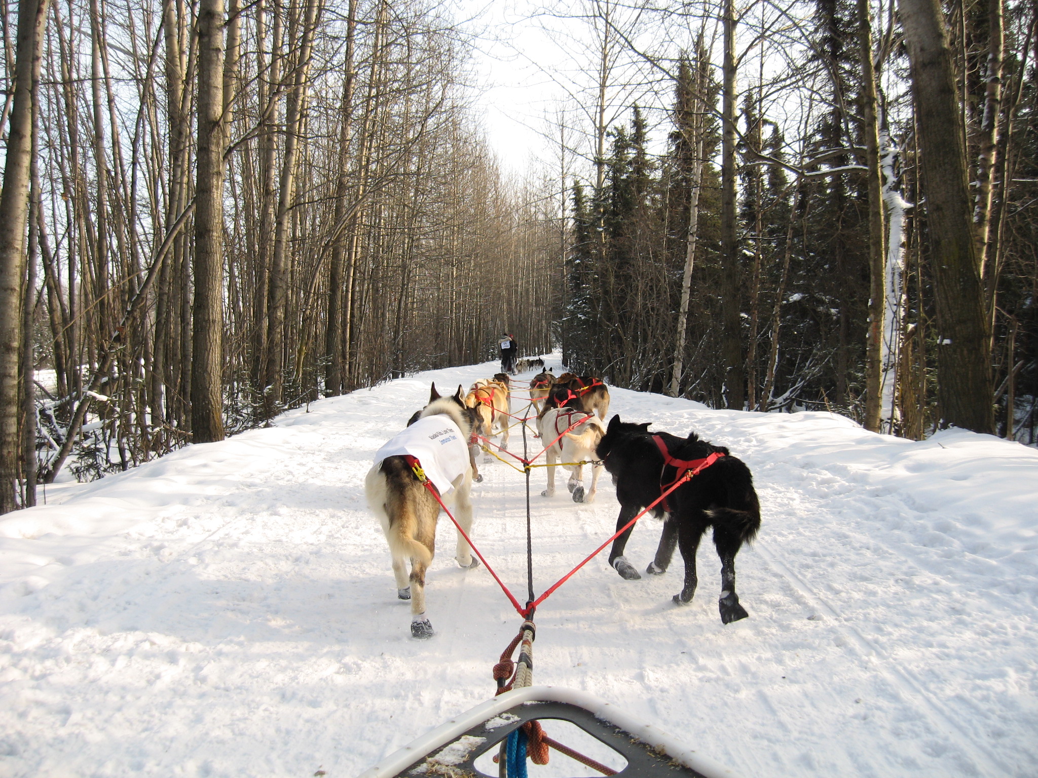 How Many Hours Of Daylight In Anchorage In January